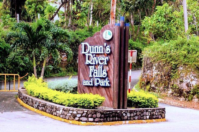Dunn's River Falls Tour from Lucea - Who Will Love This Tour?