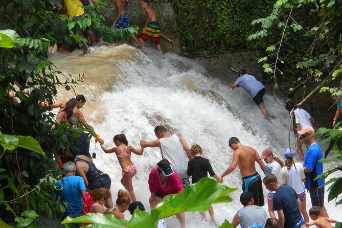 Dunn's River Falls Tour from Ocho Rios - Transportation and Practical Details