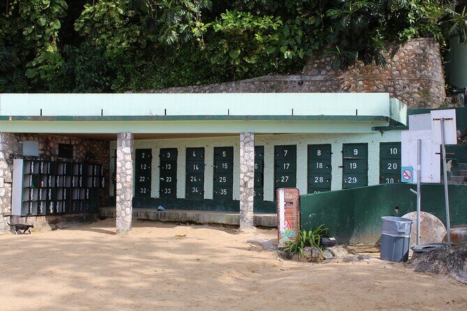 Dunn's River Falls Tour - Is It Worth the Price?