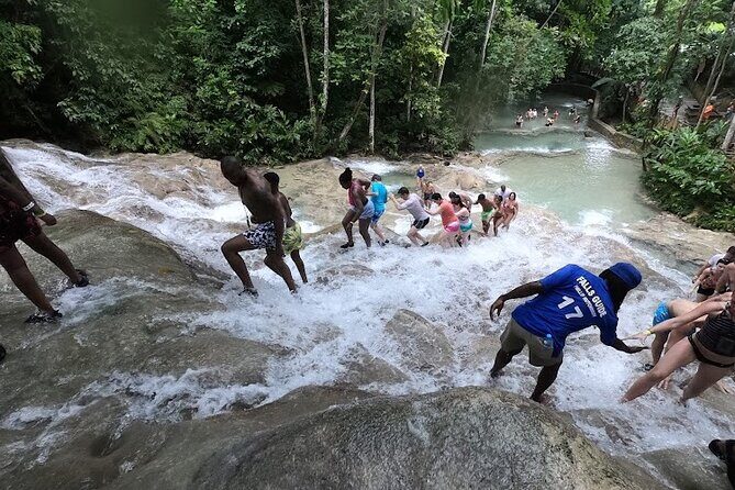 Dunns River Falls With Private Transportation from Montego Bay - Frequently Asked Questions (FAQs)
