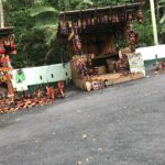 Dunns River Tour - Who Should Consider This Tour?