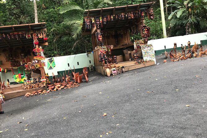 Dunns River Tour - Who Should Consider This Tour?