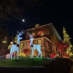 Dyker Heights Christmas Lights Bus Tour - What to Expect: The Practical Details