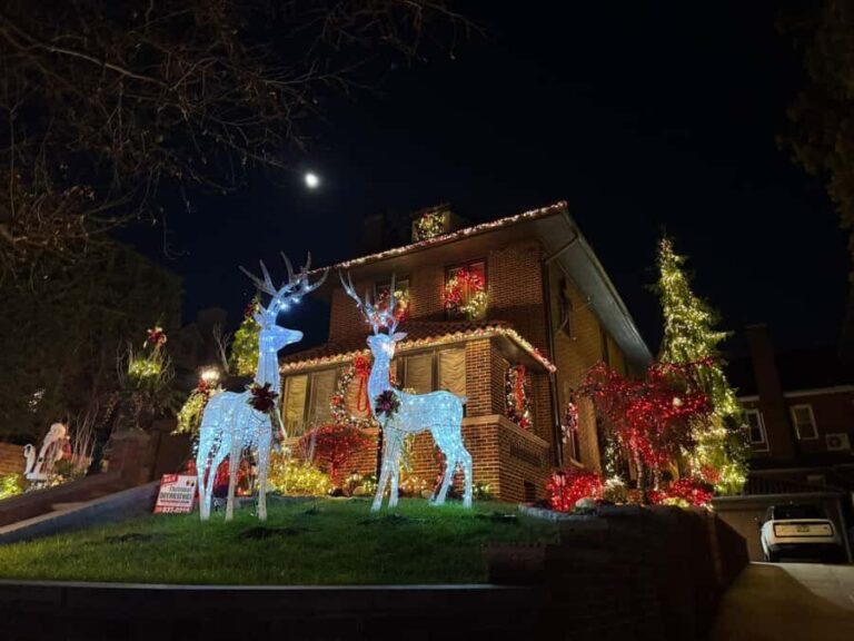 Dyker Heights Christmas Lights Bus Tour - What to Expect: The Practical Details
