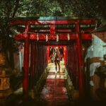 Dynamic Tokyo Private Custom Walking Tour - Breaking Down the Itinerary