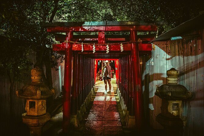 Dynamic Tokyo Private Custom Walking Tour - Breaking Down the Itinerary