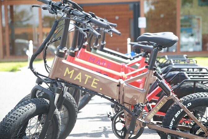 E-bike Tour through Forests and Springs on a 1000m Plateau - The Real Value of This Tour