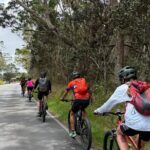 E Bike Volcanoes National Park Tour - Final Thoughts: Is It Worth It?