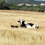 E-bikes Experience in St Philip - The Experience of the Guides