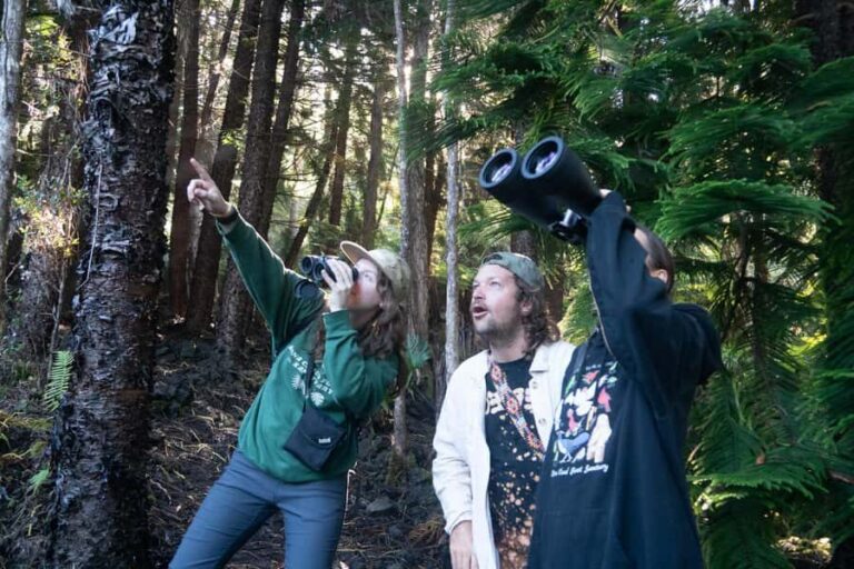 Early Bird Guided Birding Tour - Kailua-Kona, HI - How This Tour Compares to Other Experiences