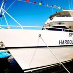 Early Bird Latin Inspired Dinner Cruise - Who This Cruise Is Best For