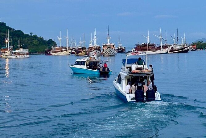 Early Morning Small-Group Komodo Speedboat Tour - Who Would Love This Tour?