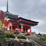 Early Morning Walking Tour: Historic Temples and Shrines - Why Choose an Early Morning Tour in Kyoto?