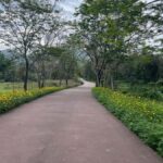 Early My Son tour/transfer to avoid crowd and the heat - Exploring My Son Sanctuary