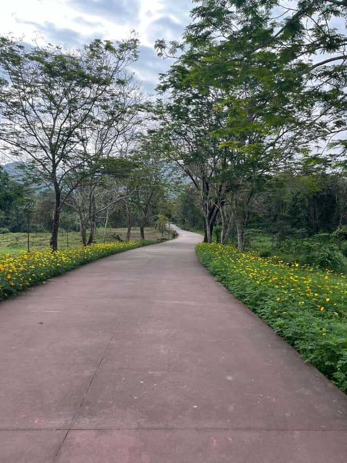 Early My Son tour/transfer to avoid crowd and the heat - Exploring My Son Sanctuary