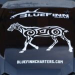 East ATV Tour in Curacao - The Experience: What You Can Expect