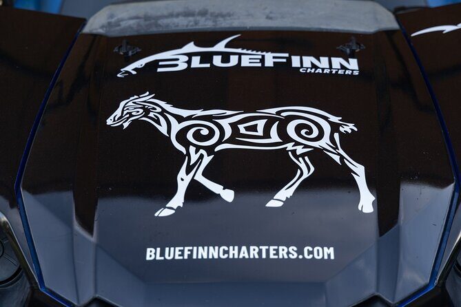 East ATV Tour in Curacao - The Experience: What You Can Expect