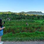 East Bali: Authentic Sidemen Rice Fields Walk & Snorkeling - Key Points