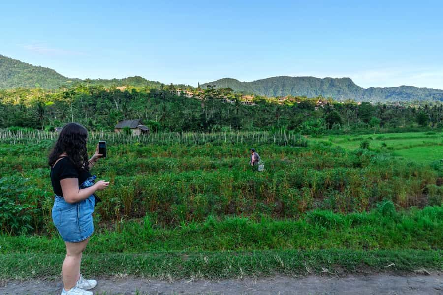 East Bali: Authentic Sidemen Rice Fields Walk & Snorkeling - Key Points