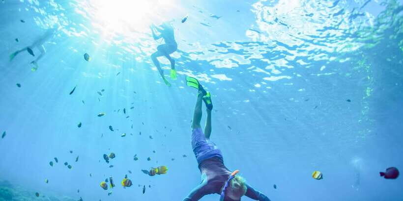 East Bali: Snorkeling Day Trip to Amed - Assessing the Value and Practicalities