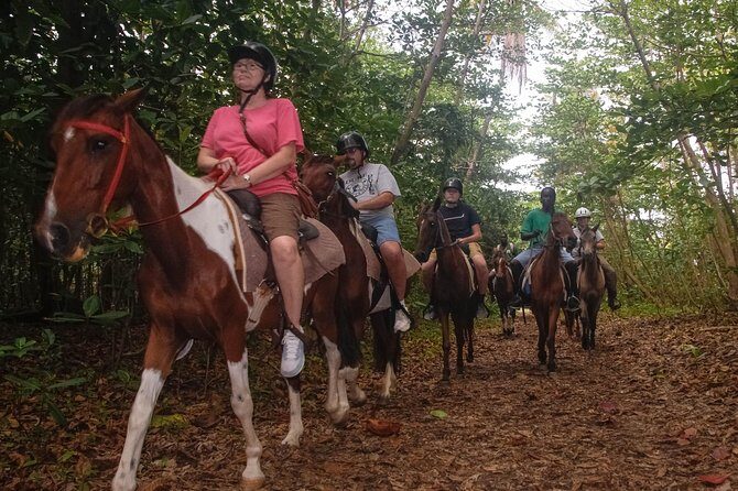 East Coast Horseback Riding & Waterfall Excursion - FAQ