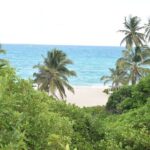 East Coast Private Tour of Barbados - Who Will Love This Tour?