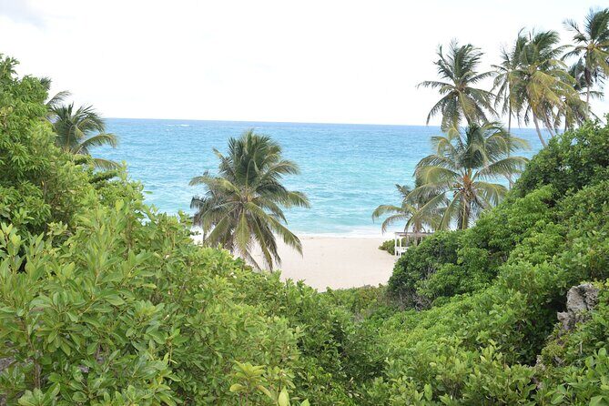 East Coast Private Tour of Barbados - Who Will Love This Tour?