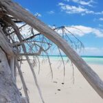 East End Private Day Trip Experience Tour - What Travelers Are Saying