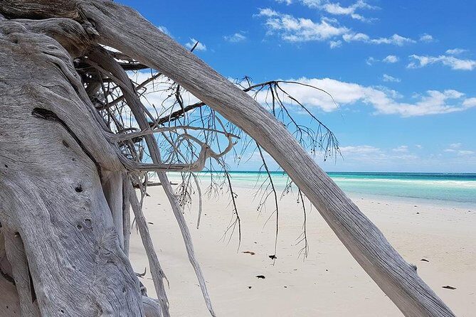 East End Private Day Trip Experience Tour - What Travelers Are Saying