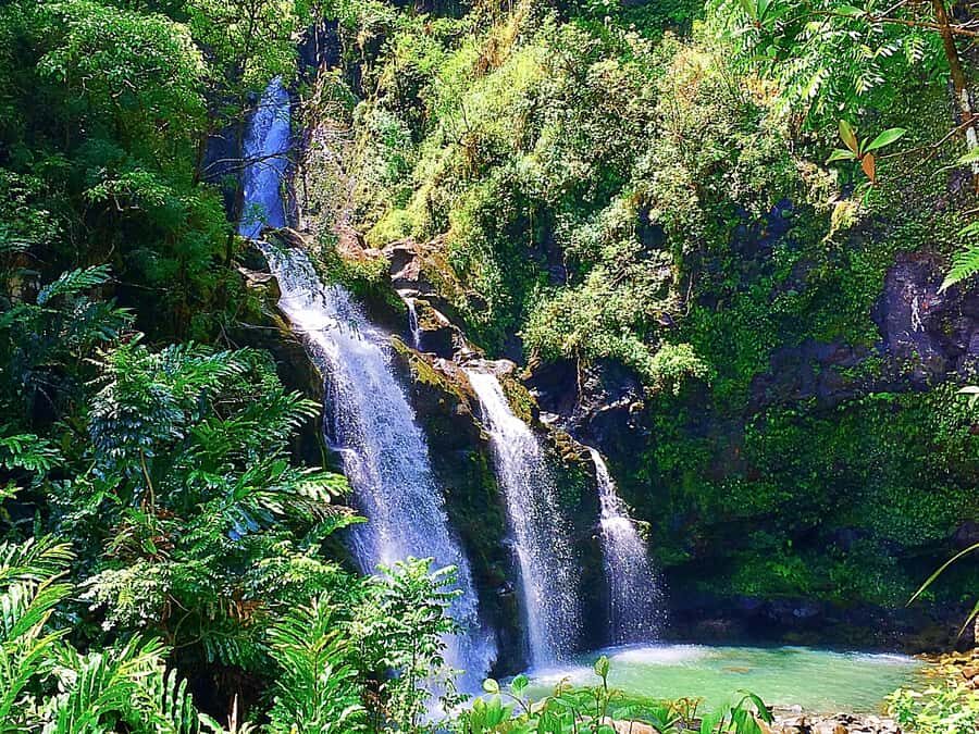 East Maui: Private Rainforest Tour or Road to Hana Loop Tour - Why This Tour Offers Value