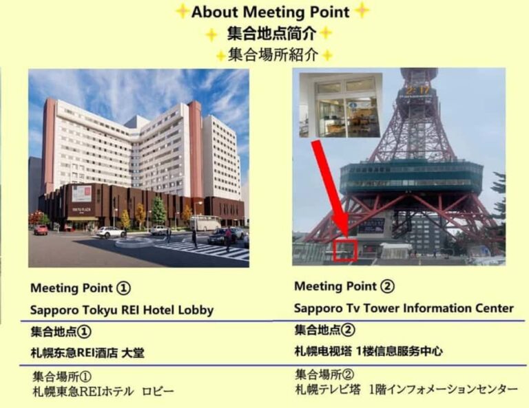 Eastern Hokkaido: Shibazakura & Tulip Park Day Tour - What To Expect on the Day