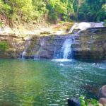 Eastern Tours/ Mt. Carmel Falls / Laura Spice Tour / Clarke's Court Distillery - A Fragrant Journey at Laura’s Herb & Spice Garden