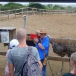 Eco & City Tour - Who Will Love This Tour?