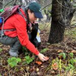 Ecological Mushroom Foraging Workshop - Why This Tour Makes Sense for You