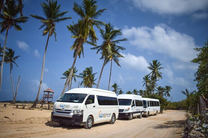 Effortless Airport Transfers in Punta Cana - The Real-World Reviews: Balancing Praise and Caution