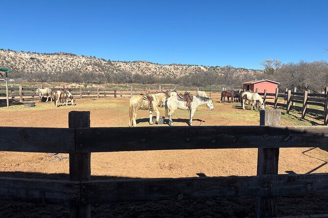 Effortlessly E Bike the Verde Valley Riparian Habitat - Pricing & Value