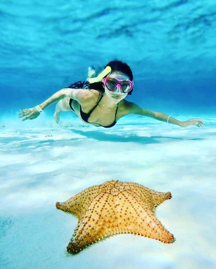 El Cielo and El Cielito Catamaran Tour with Slide and Open Bar - What to Expect from the Tour