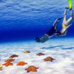 El Cielo Cozumel Snorkel Private Tour Big Group + Food Drinks - The Sum Up