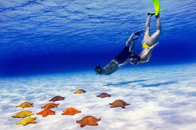 El Cielo Cozumel Snorkel Private Tour Big Group + Food Drinks - The Sum Up