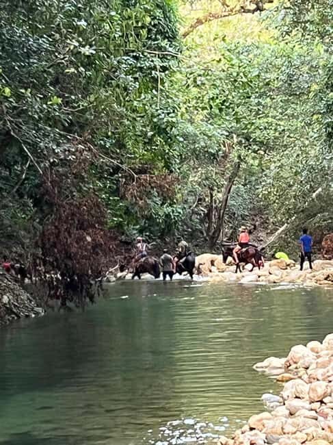 El Limon: Horse Ride Waterfall Waterfall Jump - A Closer Look at the Itinerary