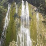 El Limon Waterfall and Cayo Levantado Tour - The Experience: What to Expect and Why It Matters