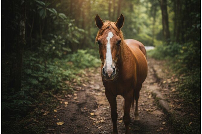 El Limón Waterfall Guided Hike and Horseback Adventure in RD - Why This Tour Offers Good Value