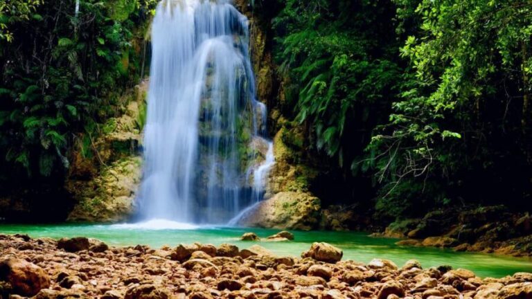 El Limón: Waterfall Horseriding Tour with Lunch - What to Expect: A Step-By-Step Look