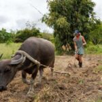 El Nido: Farm Tour, Snorkeling, Dinner, and Nipa Hut Stay - The Itinerary in Detail