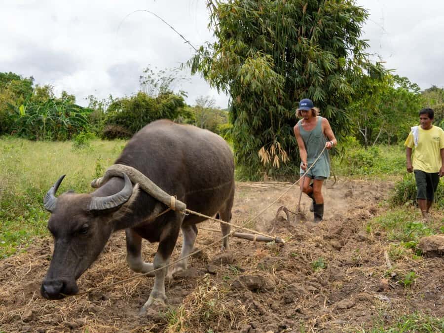 El Nido: Farm Tour, Snorkeling, Dinner, and Nipa Hut Stay - The Itinerary in Detail