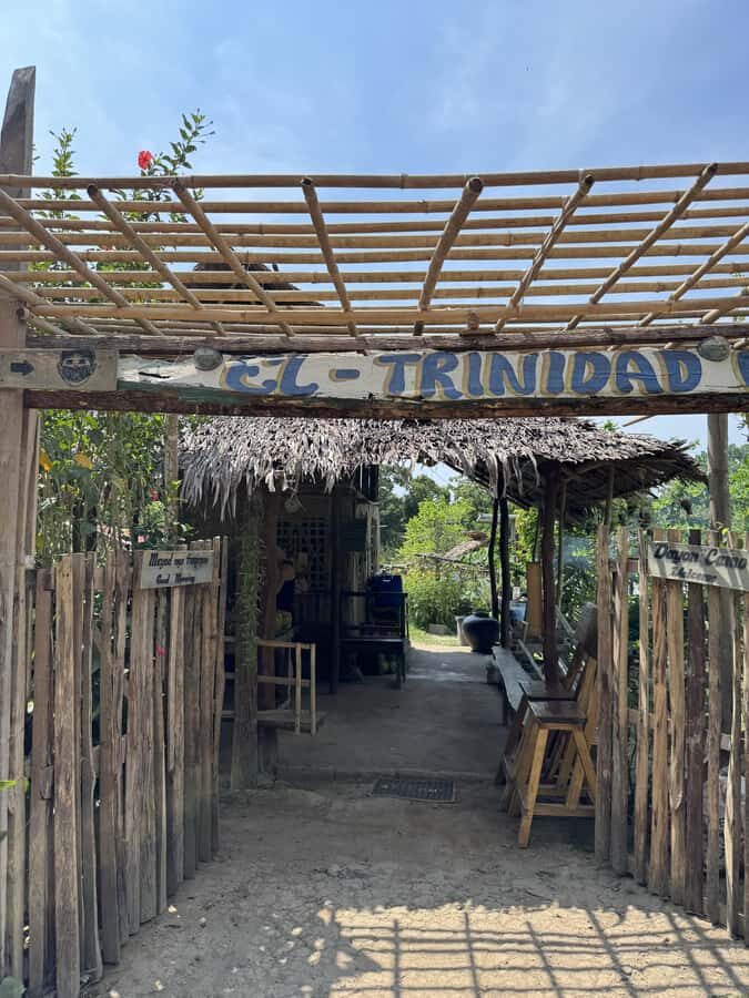 El Nido, Sibaltan: Local Organic Farm Tour & Product Tasting - What to Expect During the Tour
