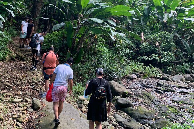 El Yunque National Forest and Luquillo Beach Combo - What Travelers Love About This Tour