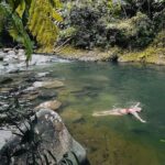 El Yunque National Forest Guided Tour with Transport - Why This Tour Works for You