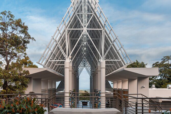 El Yunque Rainforest EZ-going Bus Tour (wheelchair accessible) - What the Tour Means for You