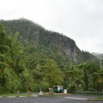 El Yunque Rainforest Guided Day Tour from San Juan - Authentic Experiences and Noteworthy Highlights